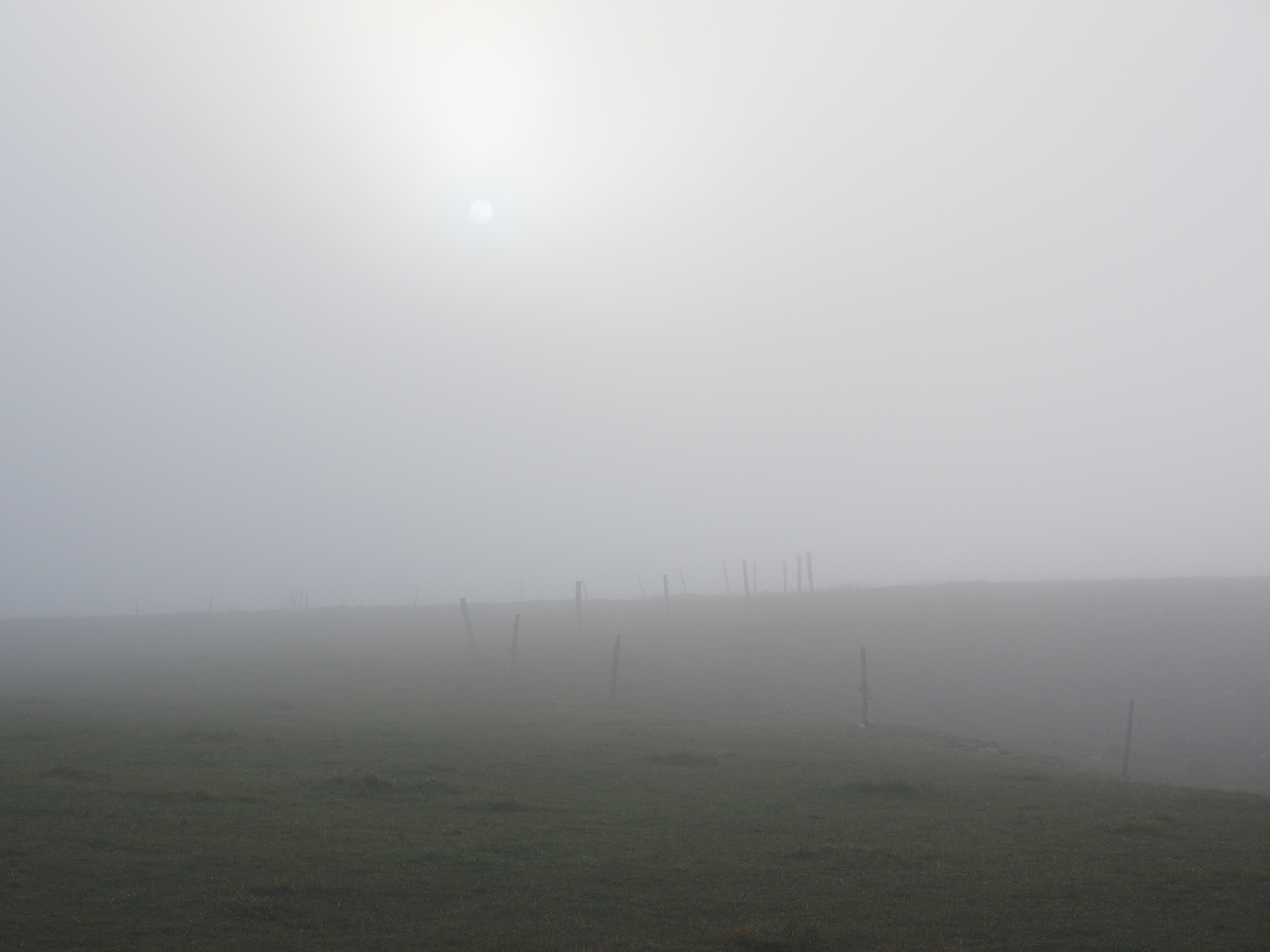 Empty foggy field free image download