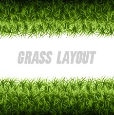 Grass Layout free image download