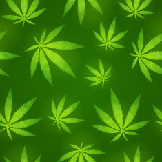 Seamless Marijuana Background N2 free image download
