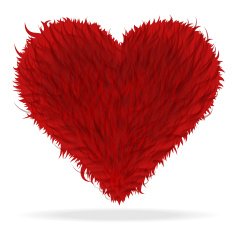 Valentine furry heart free image download