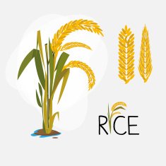 Rice set letter - vector illustration free image download