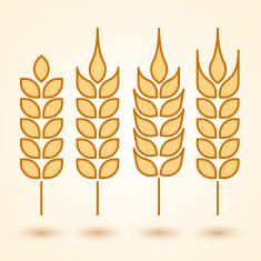 Wheat icons set free image download