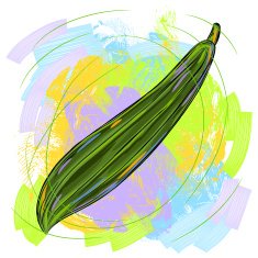 Ridge Gourd free image download
