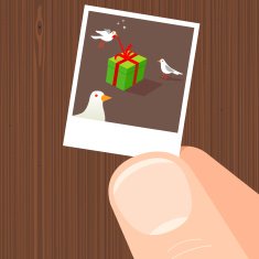 Bird gift picture free image download