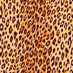 Leopard skin pattern N17 free image download