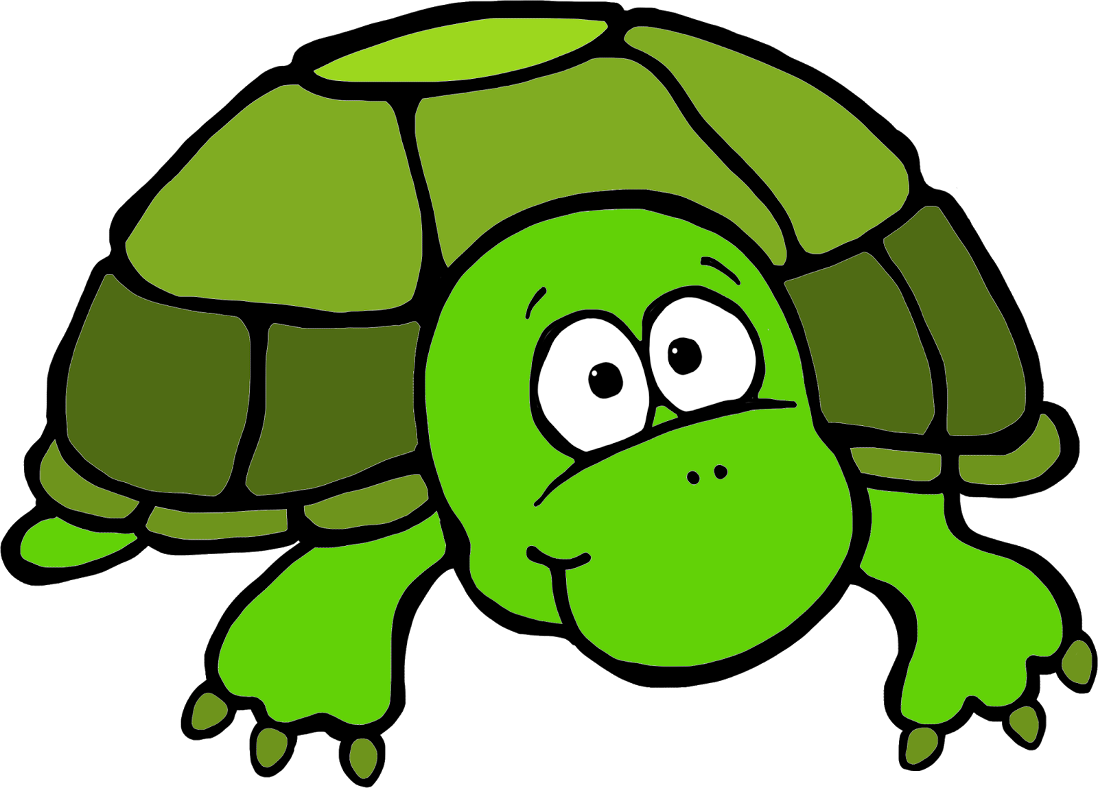 Funny cartoon turtle with big eyes free image download