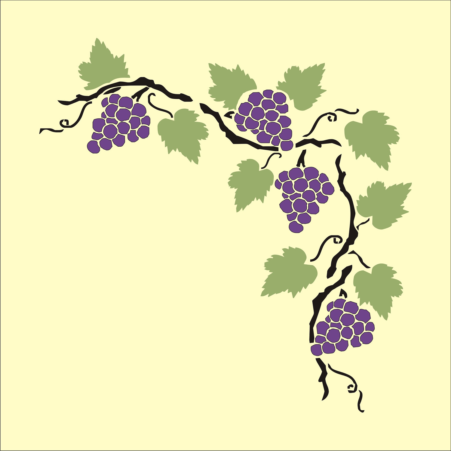 Drawn grapevines on a piece of paper free image download