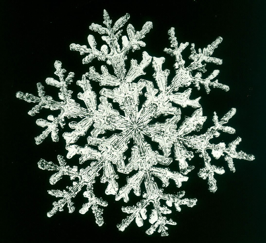 İllustration of snowflake free image download