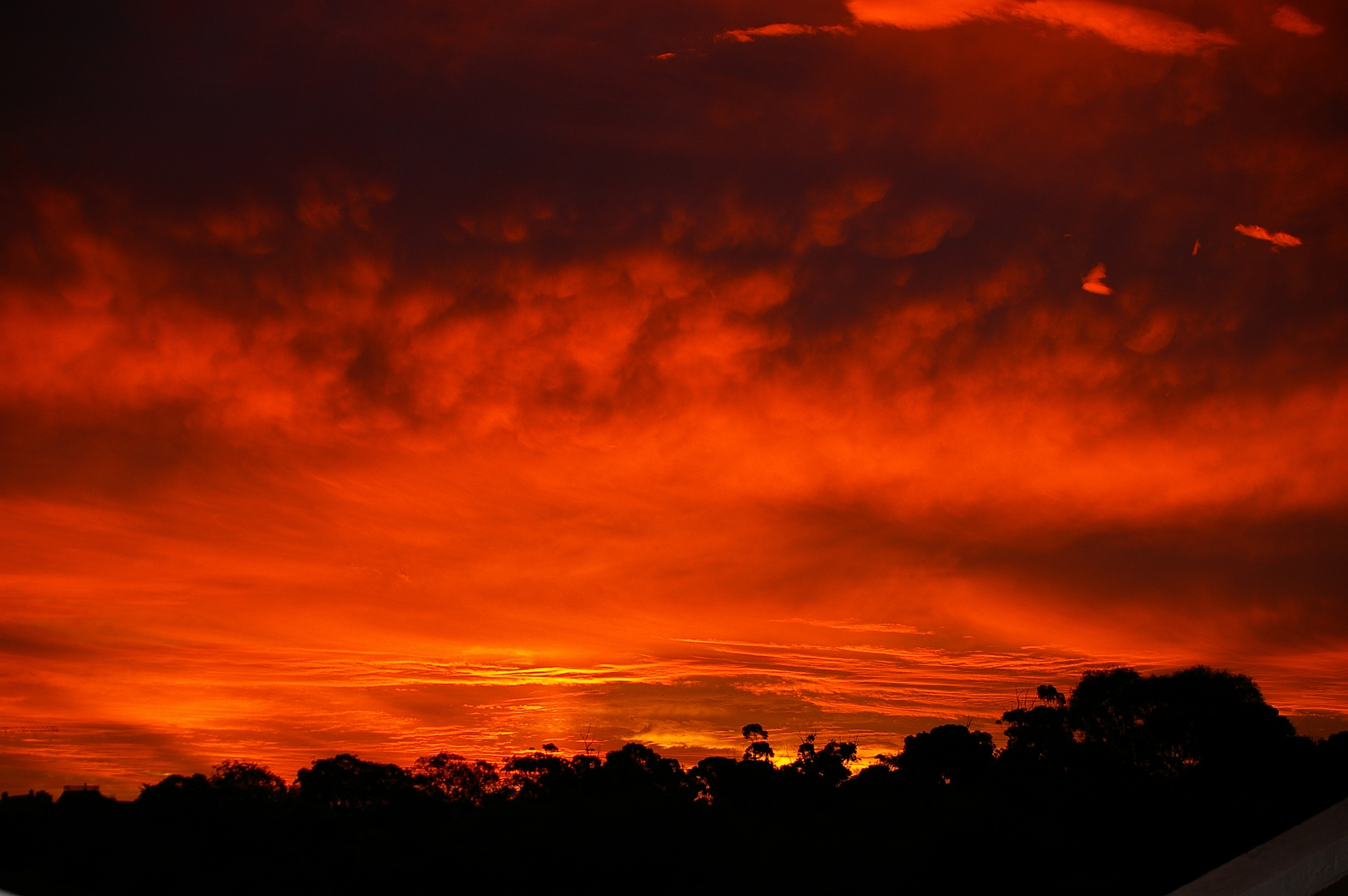 Fiery red sunset free image download