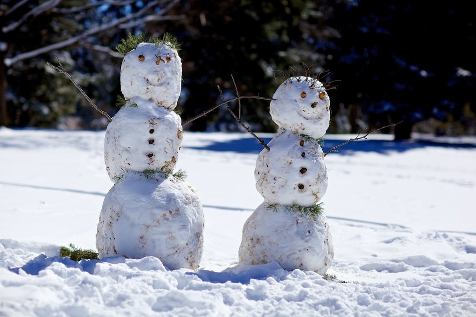 Two snowman in the bright sun free image download