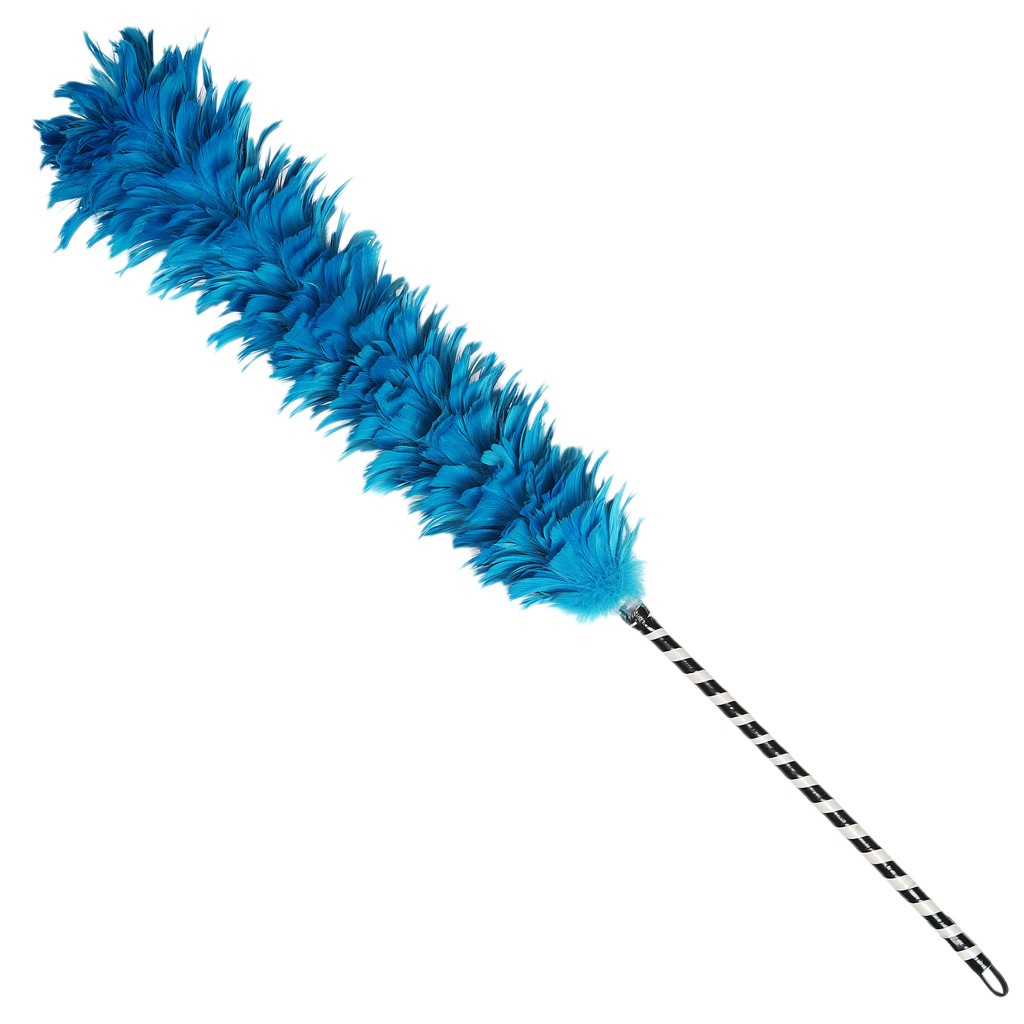 Clip Art Feather Duster drawing free image download