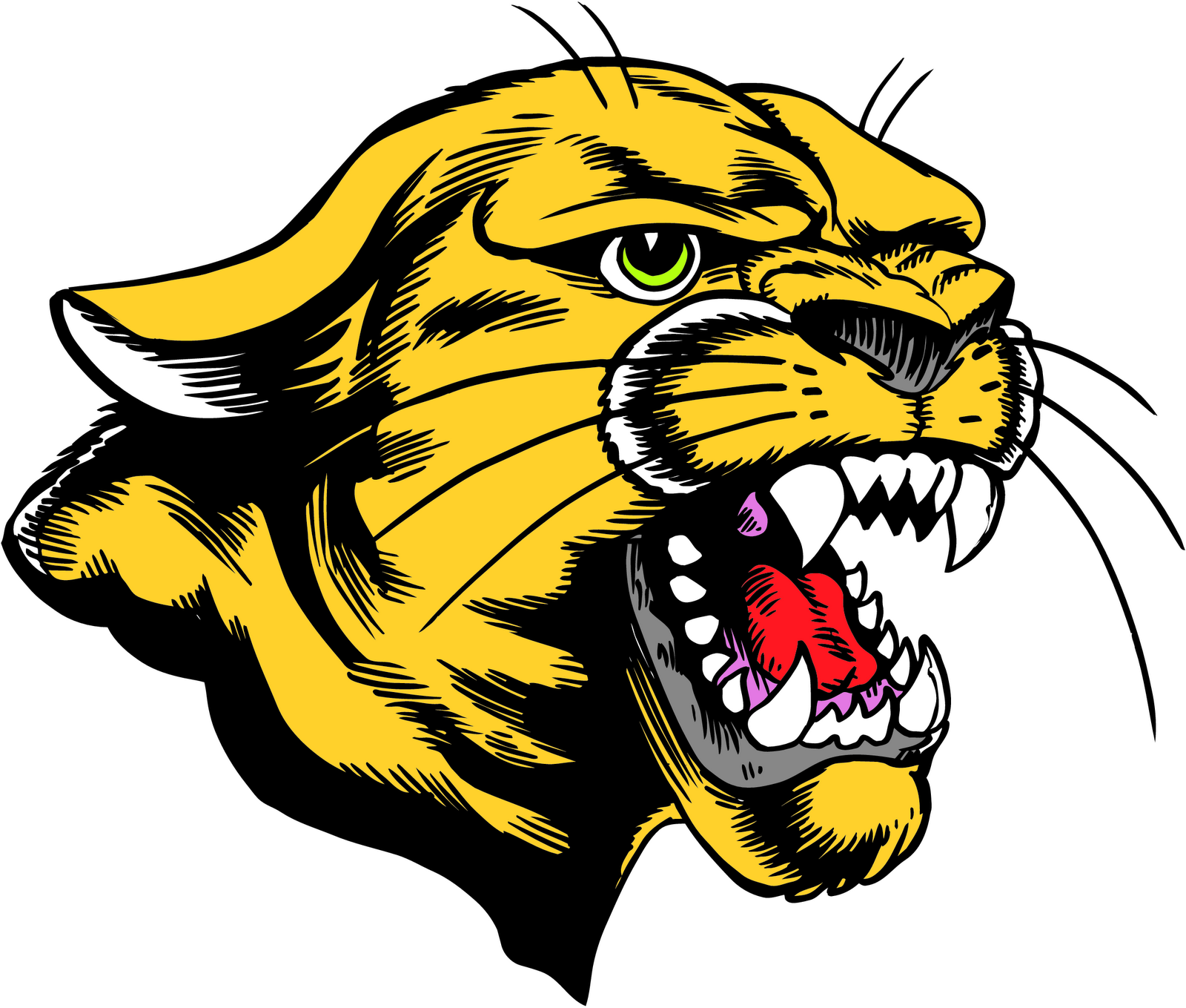 Cougar Basketball logo free image download