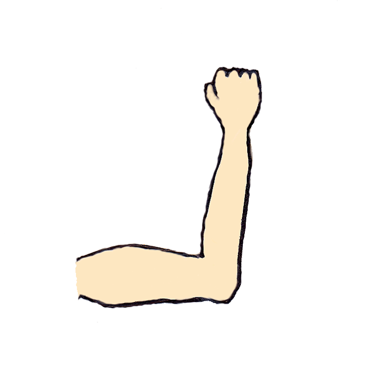 Torso 20clipart Panda Free Images free image download