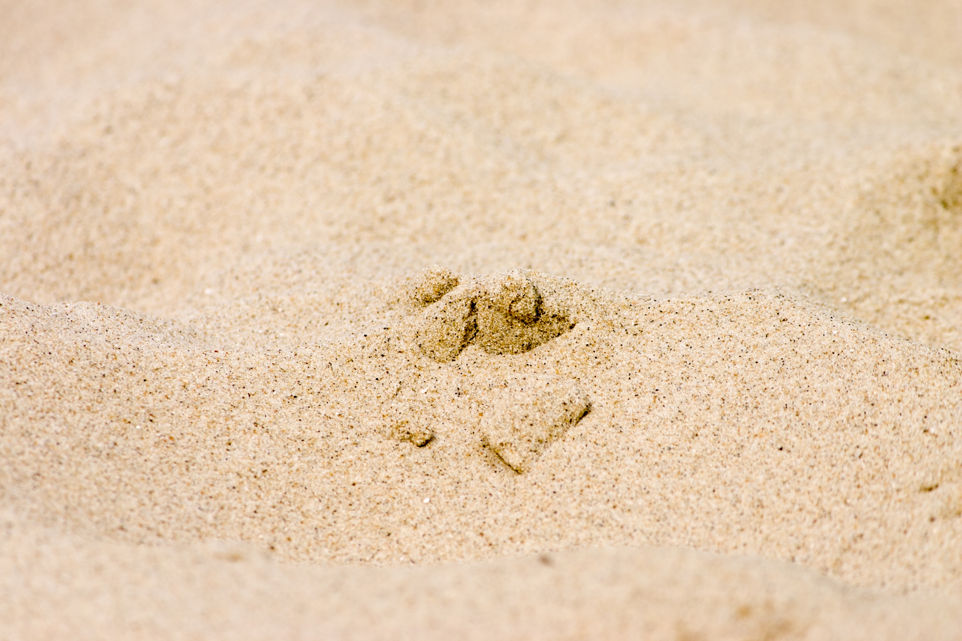 Quartz sand on the beach close up free image download