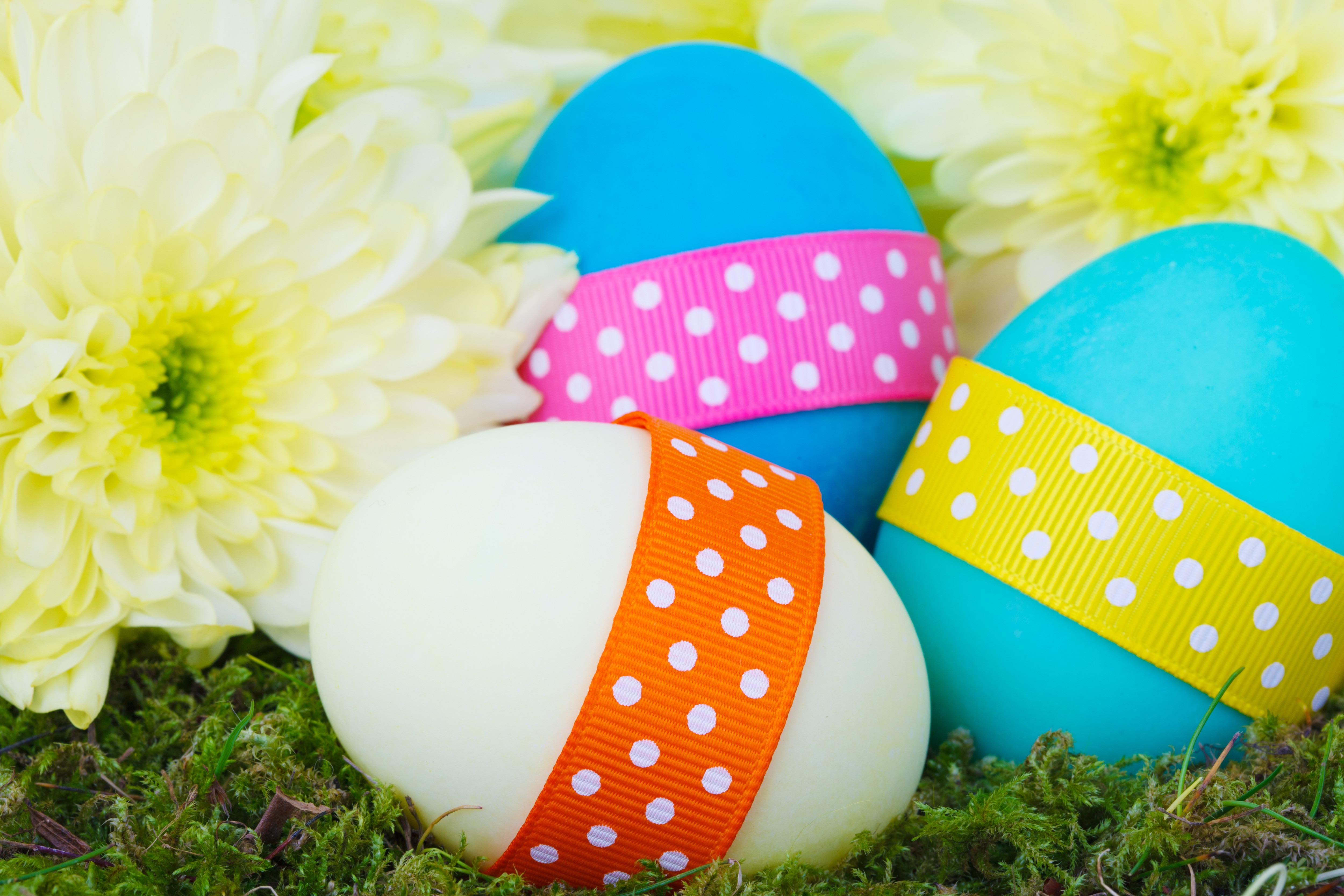 Eggs with ribbons for easter free image download