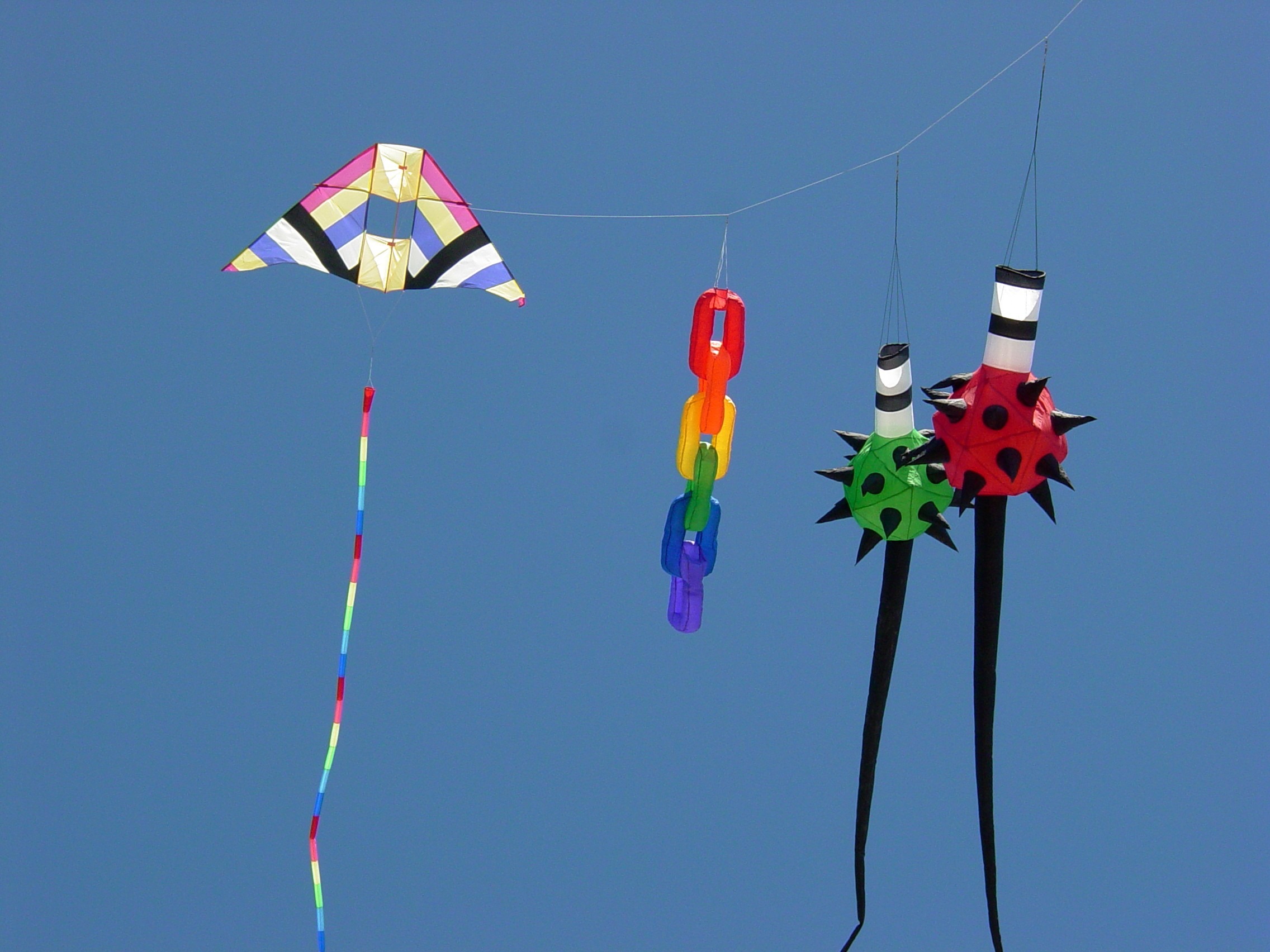 Kites of different colors and shapes free image download