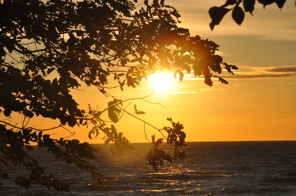 Landscape of the yellow sunset free image download