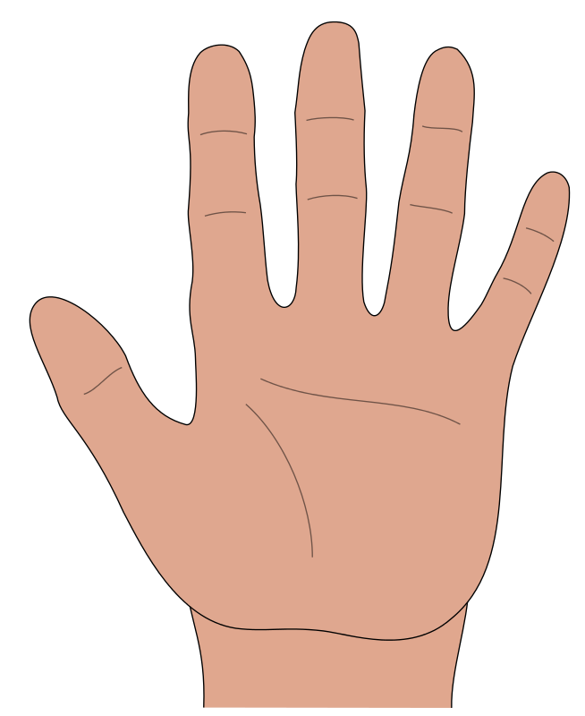 Grabbing Hand drawing free image download