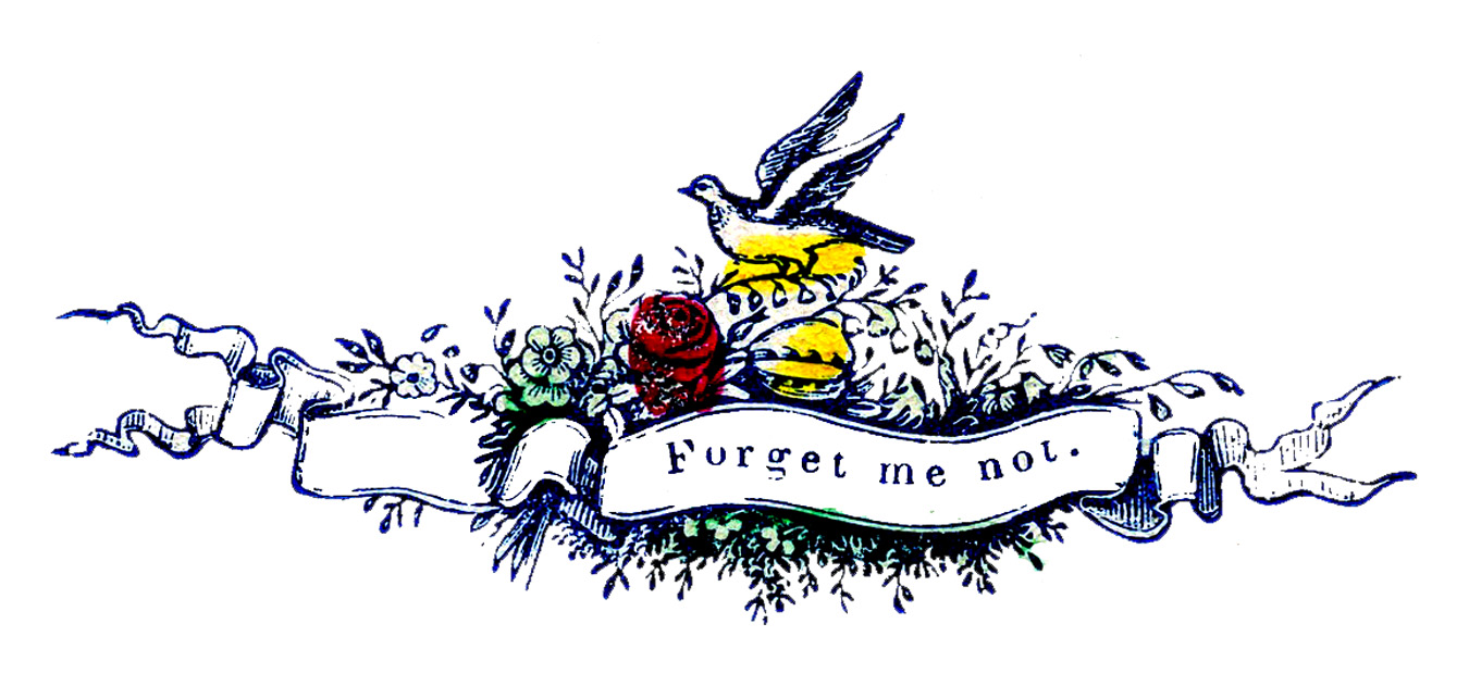 Forget me not, Antique Pen Flourished Bird Banner free image download