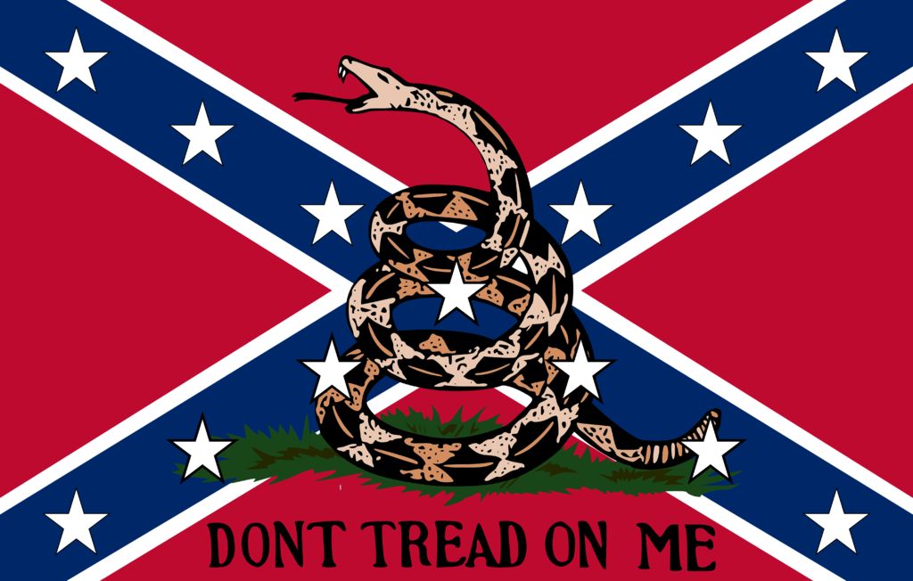Snake on the flag free image download