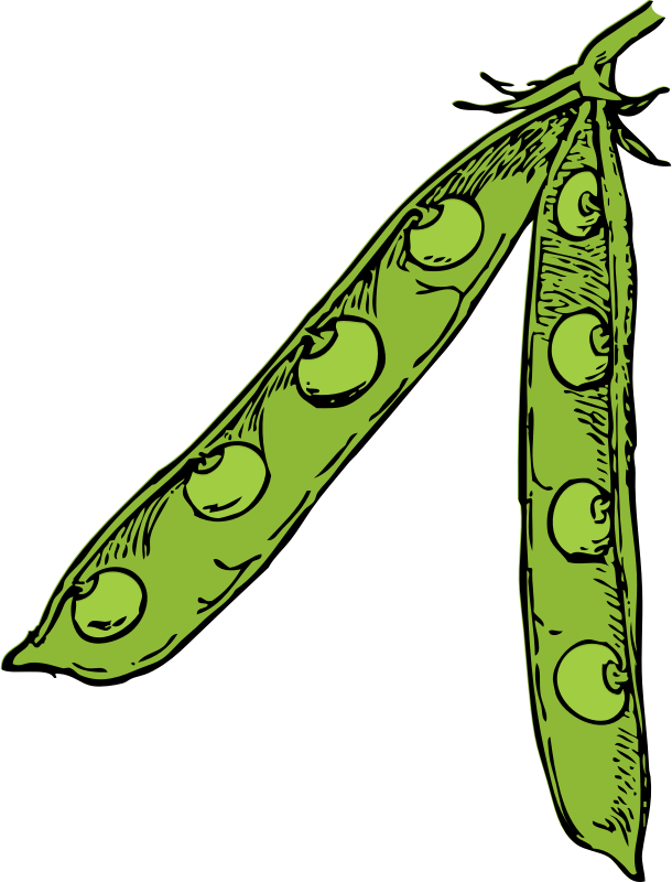 Free Green Peas drawing free image download