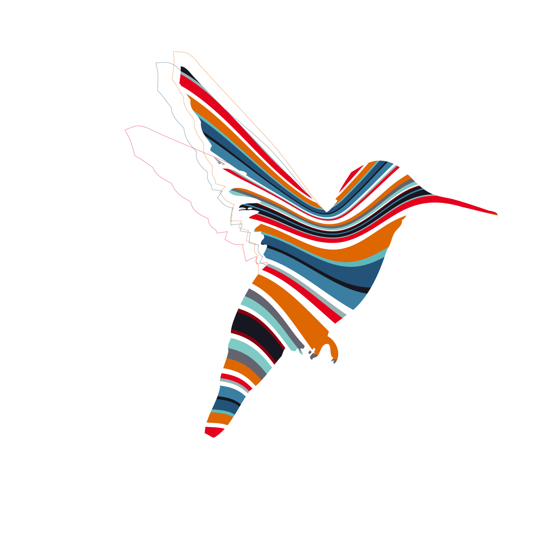 Color Humming bird Drawing free image download