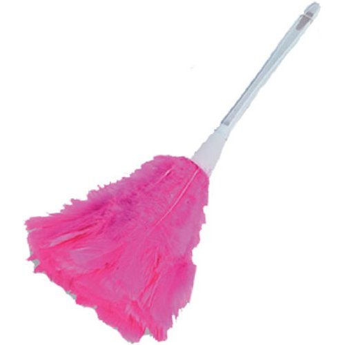 Amazoncom Pink Feather Duster Costume Accessories Clothing free image ...