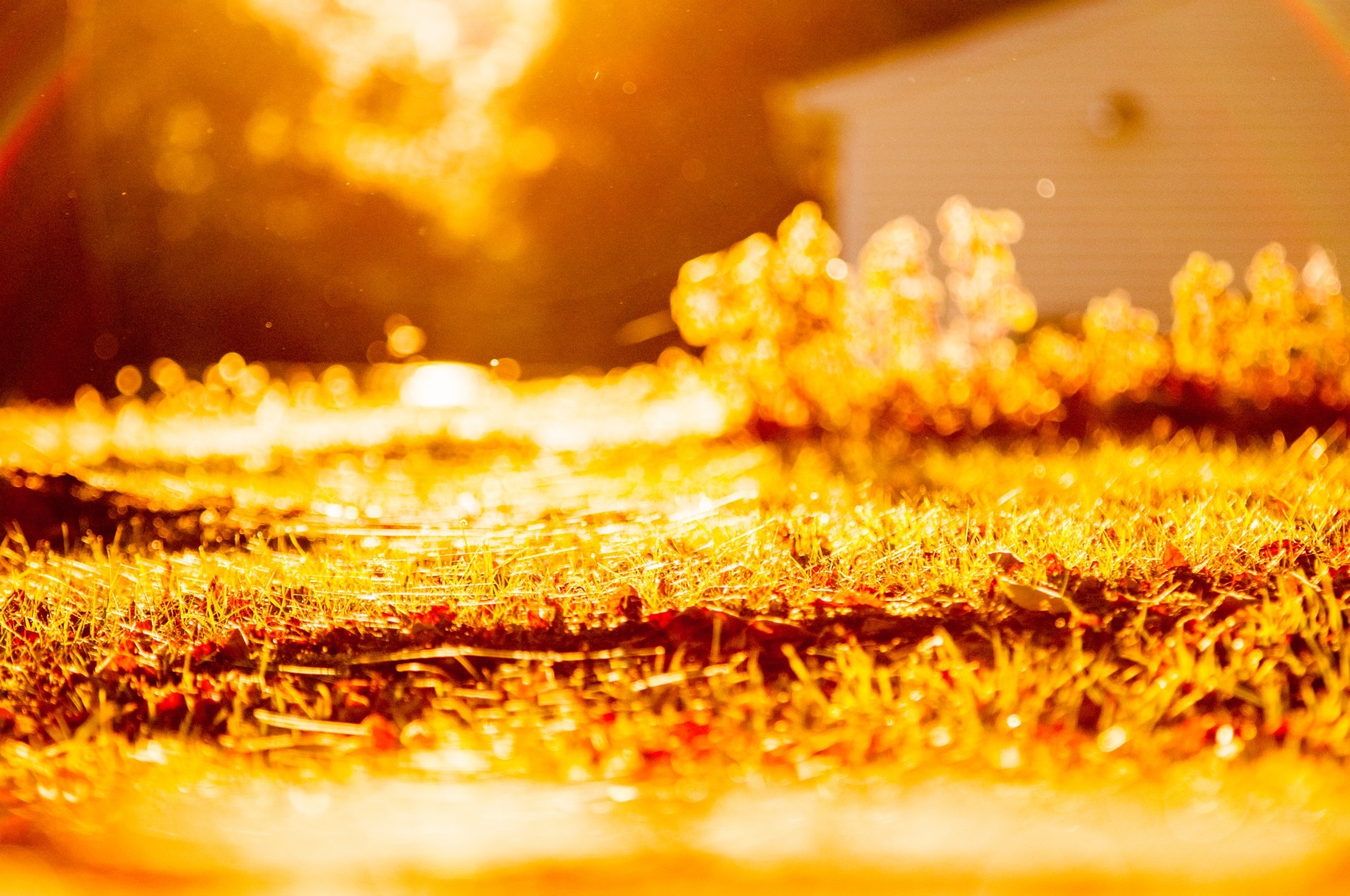 Sunset over lawn free image download