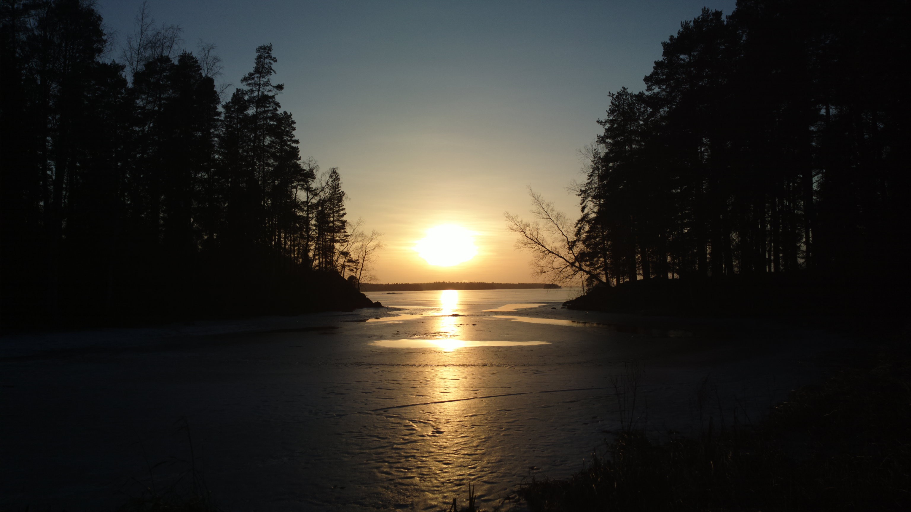 Sunset on forested coast free image download
