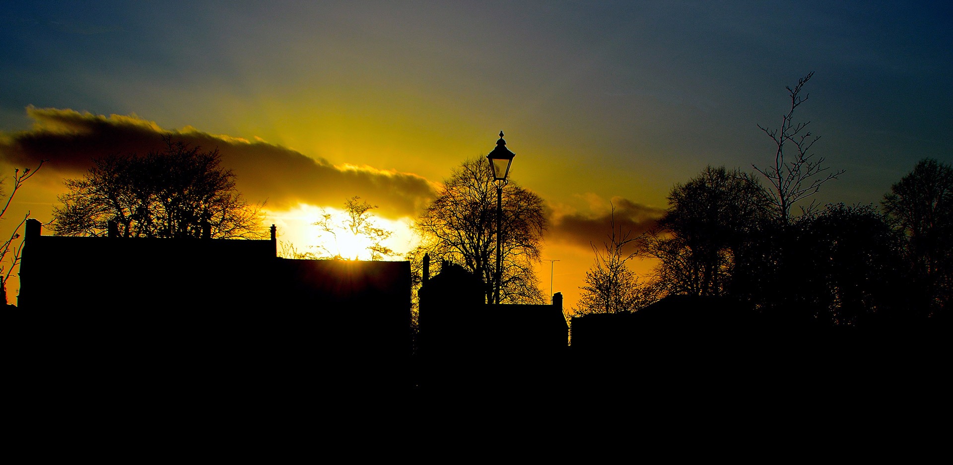 Trees and house on the sunset background free image download