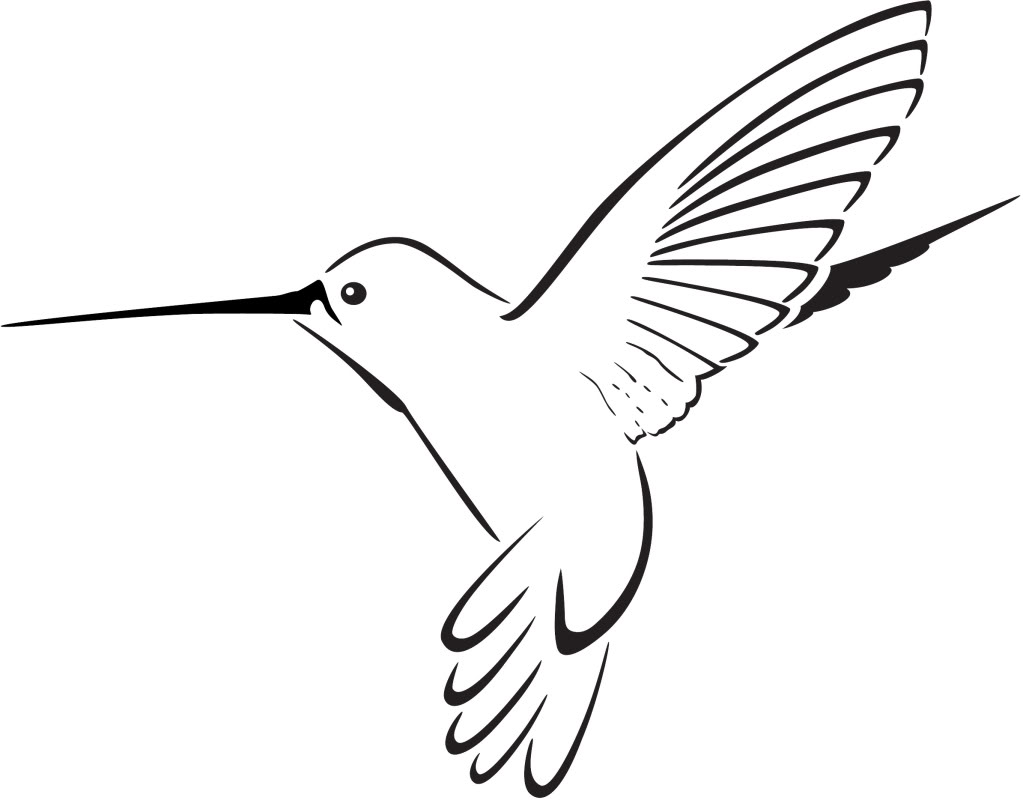 Small Hummingbird drawing free image download