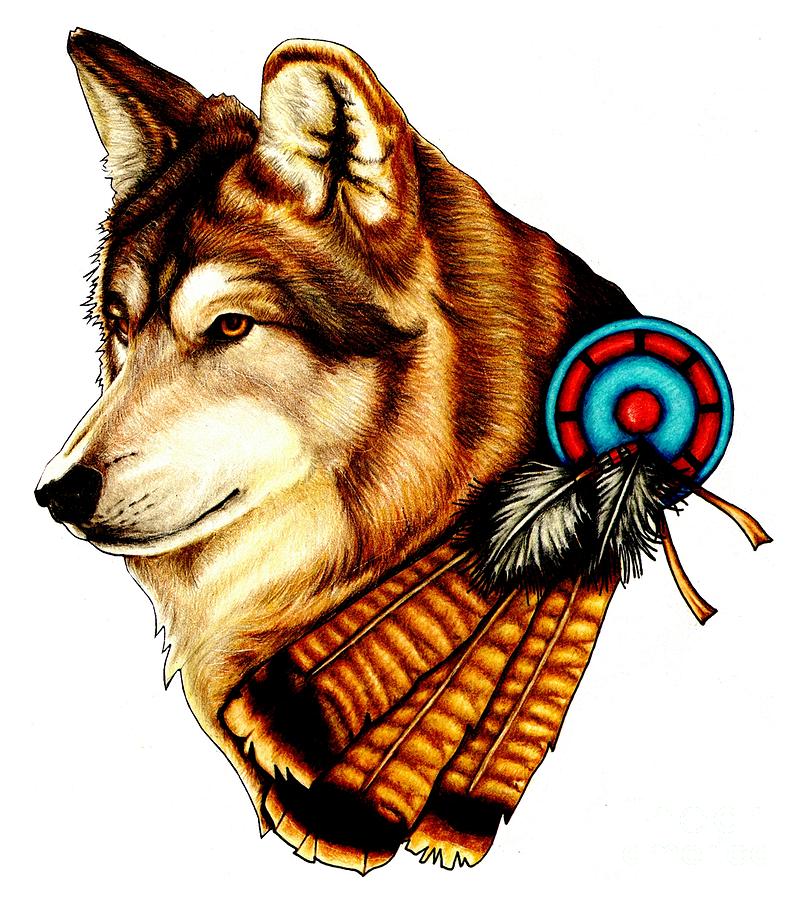 Native wolf drawing free image download