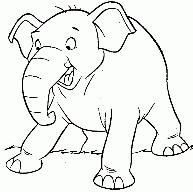White Elephant drawing free image download