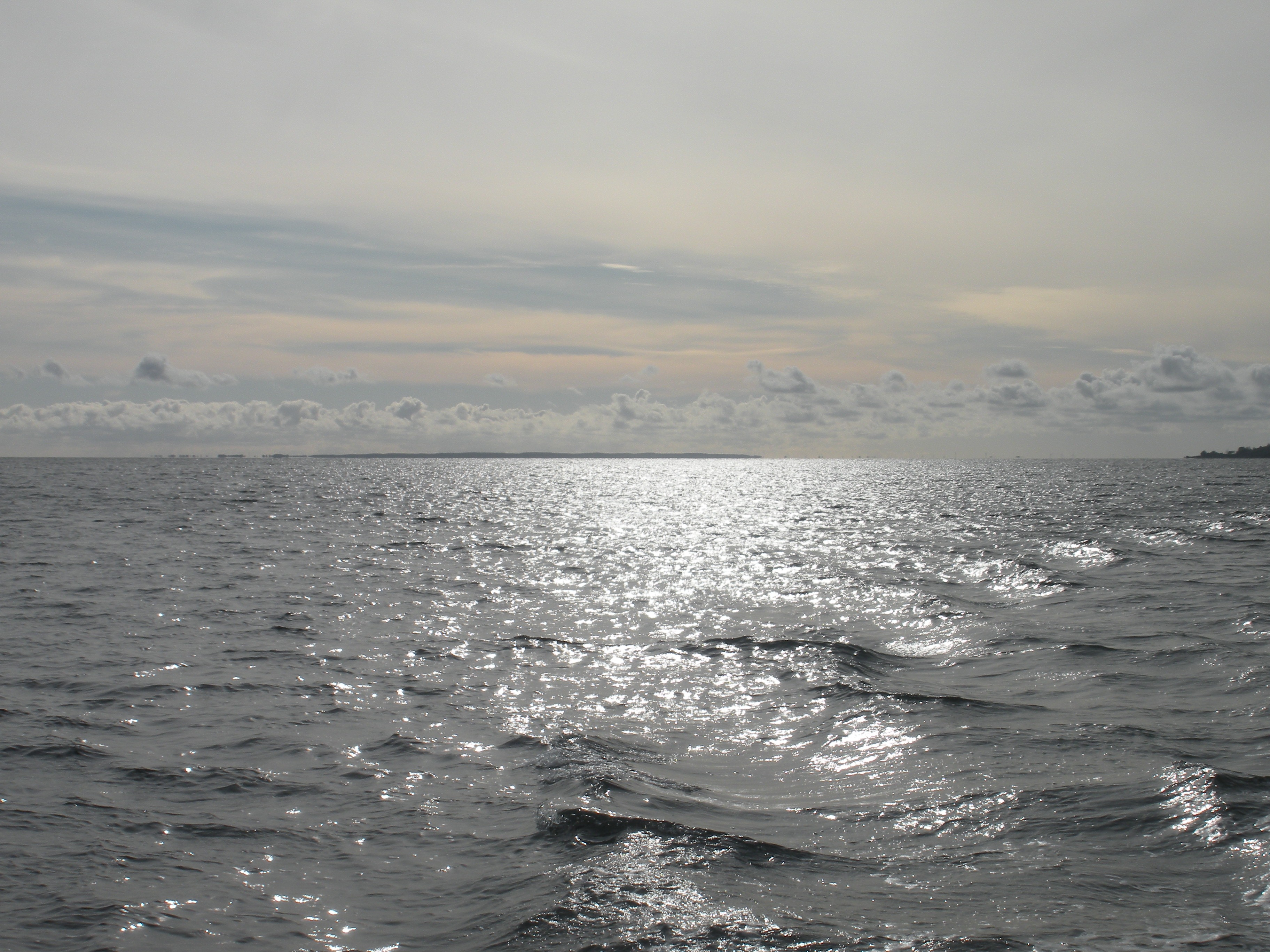 Brilliant morning ocean free image download