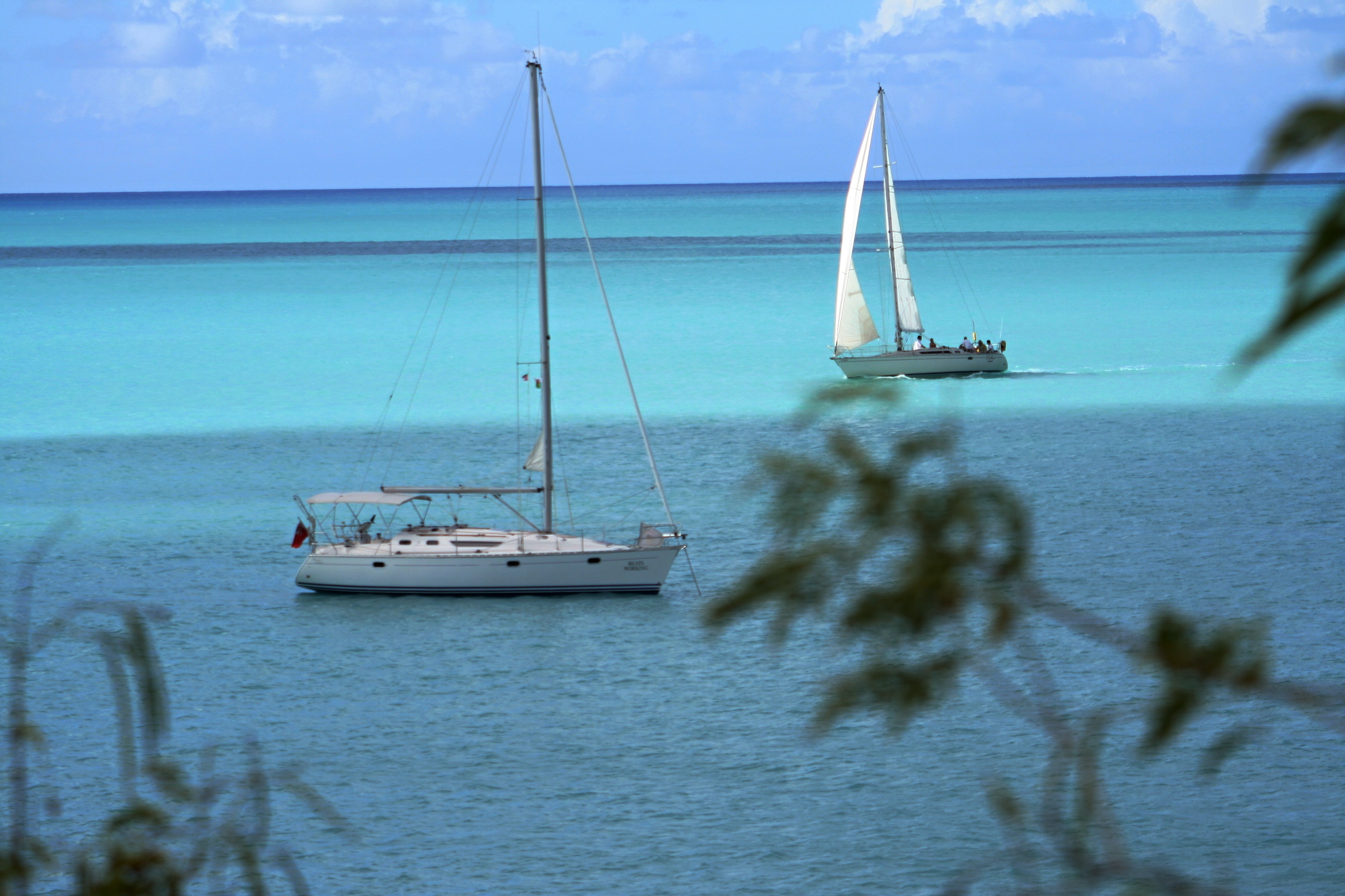 Sailboats in the blue sea landscape free image download