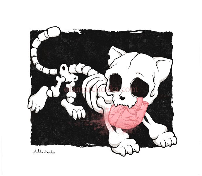 Cute Cat Skeleton free image download