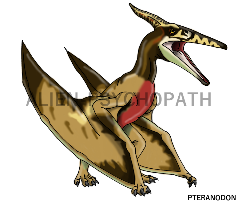 Jurassic Park Female Pteranodon By Alien Psychopath On Deviantart free ...