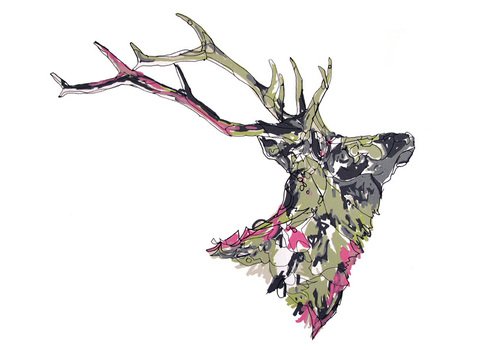 Stag Head Drawing free image download