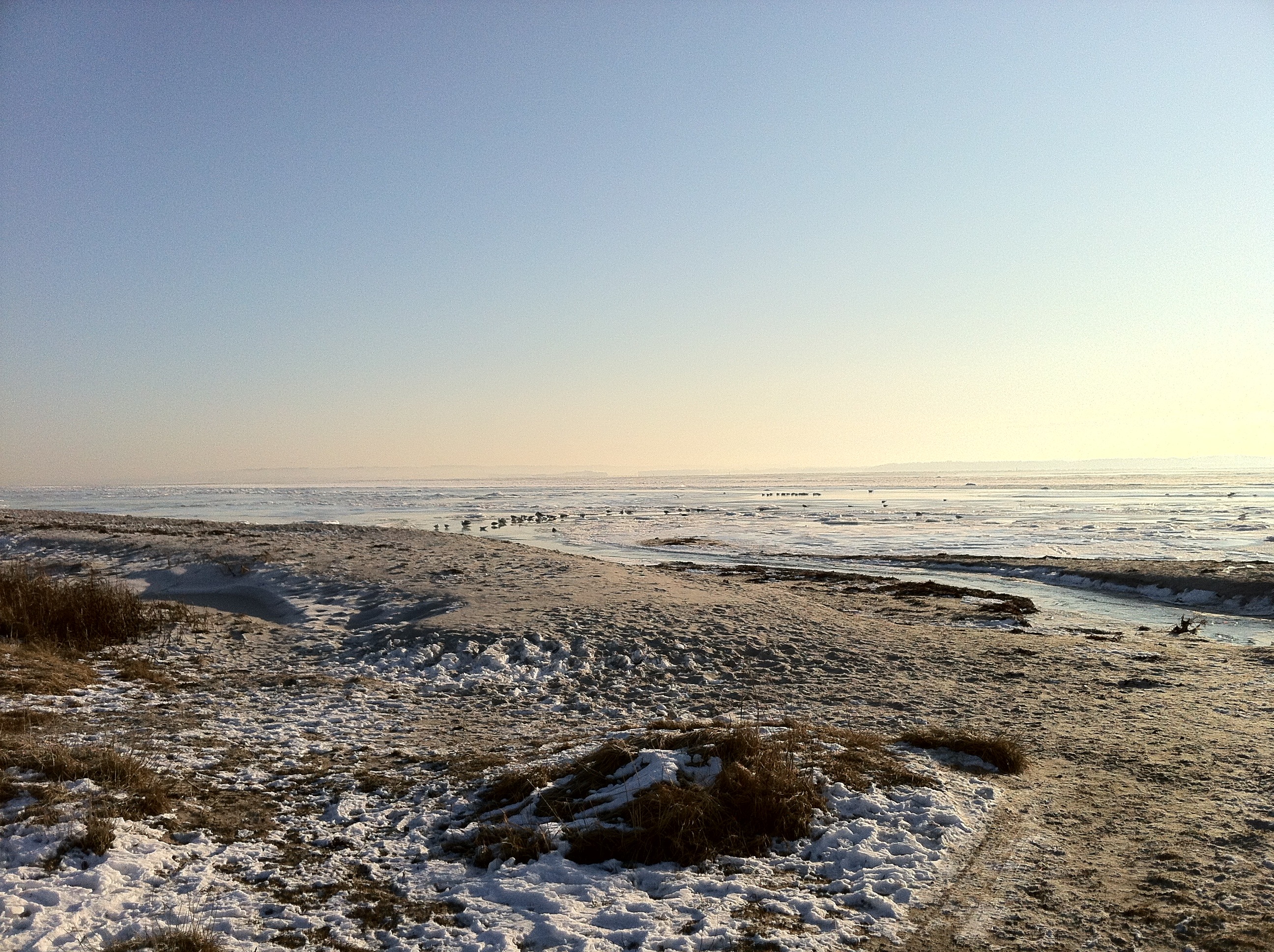 Snowy beach at frozen water, winter landscape free image download