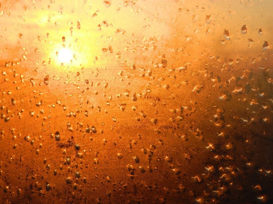 Water drops in the sunset light free image download