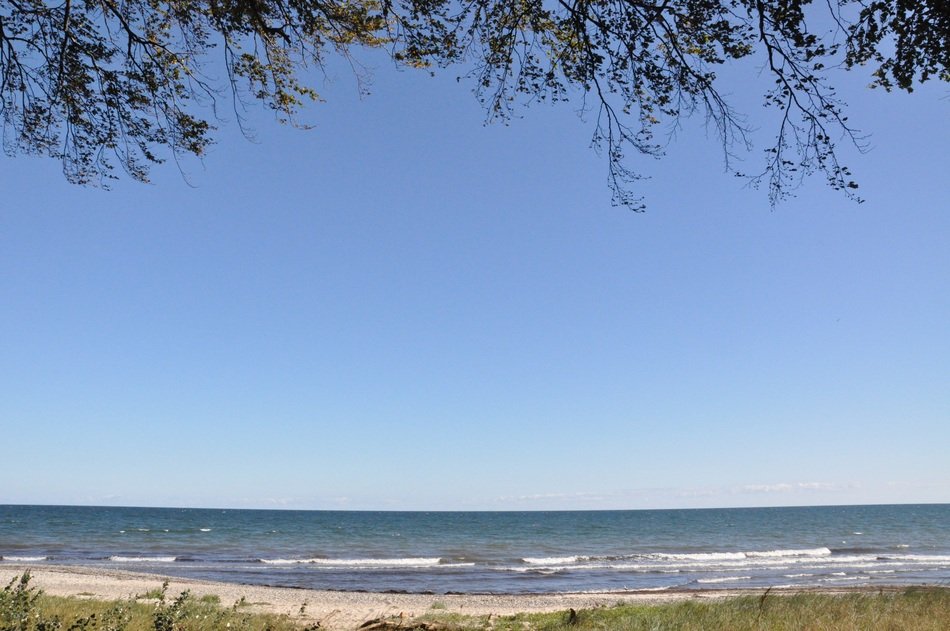Water near the beach with trees free image download