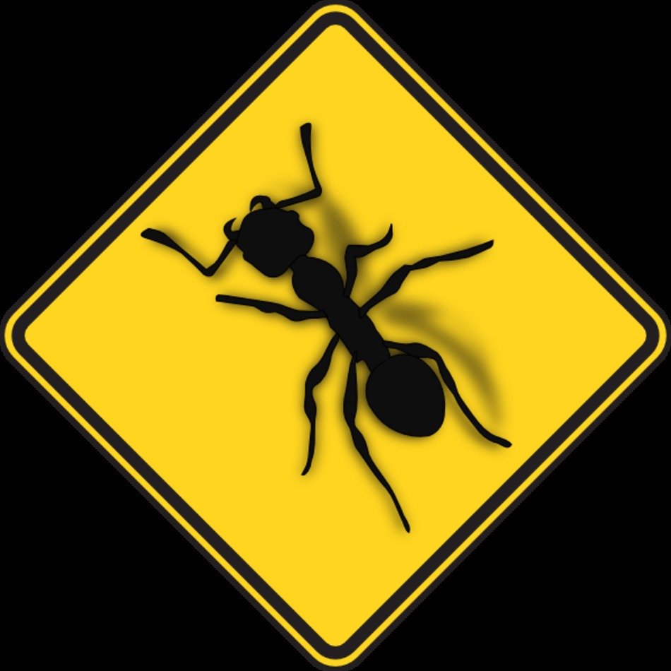 Ant Sign Danger At Clkercom Vector Online free image download