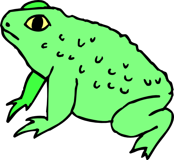 Warty Frog At Clkercom Vector Online Royalty free image download