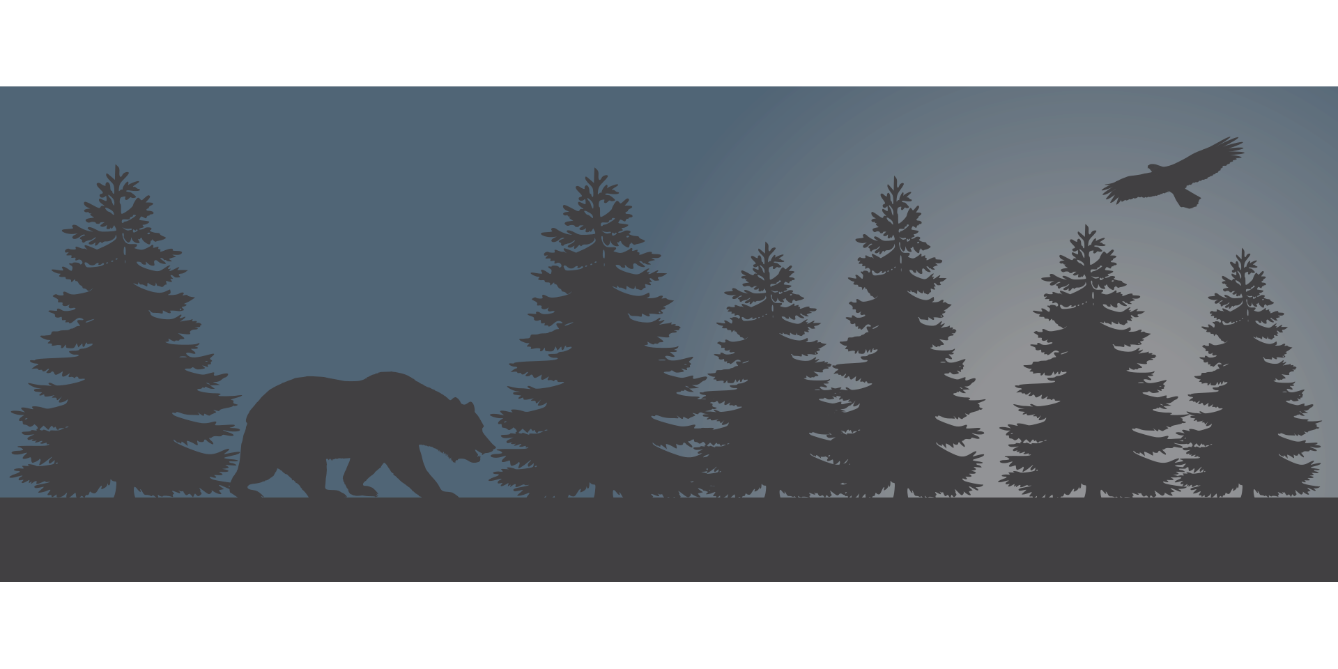 Bear in Forest poster drawing free image download