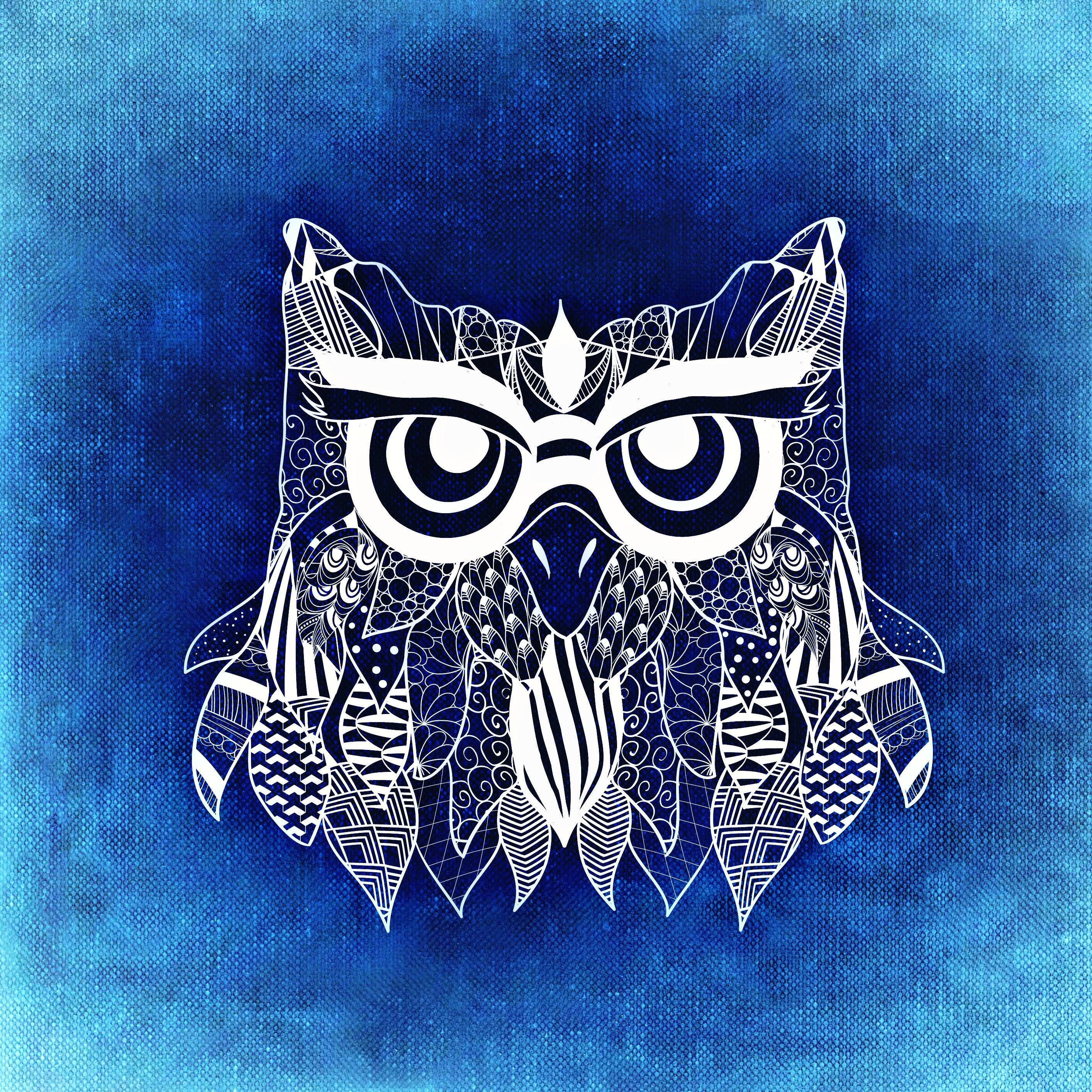 Abstract image of owl on blue background free image download