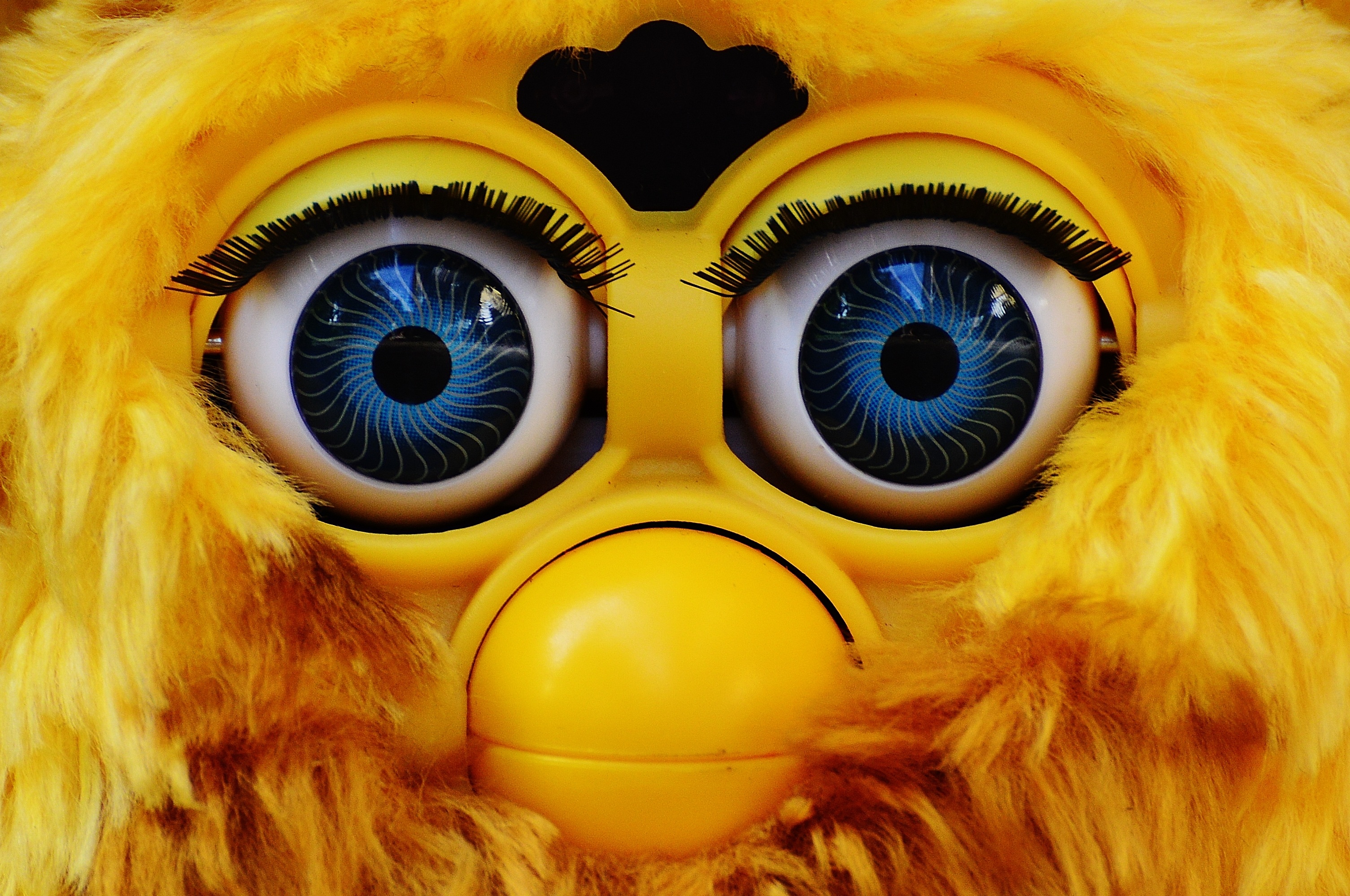 Cute yellow face Furby free image download