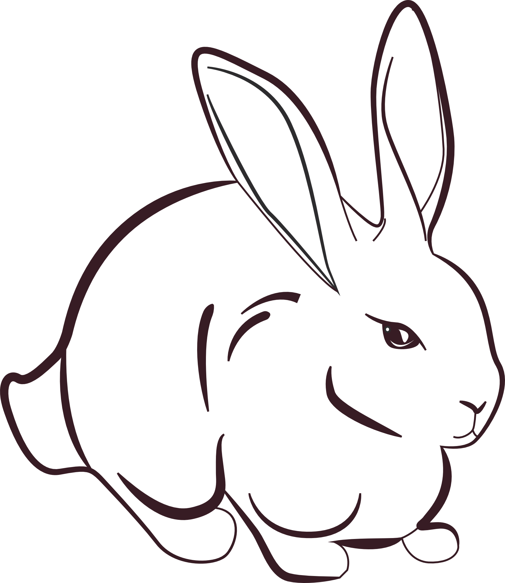 Rabbit Animal drawing free image download