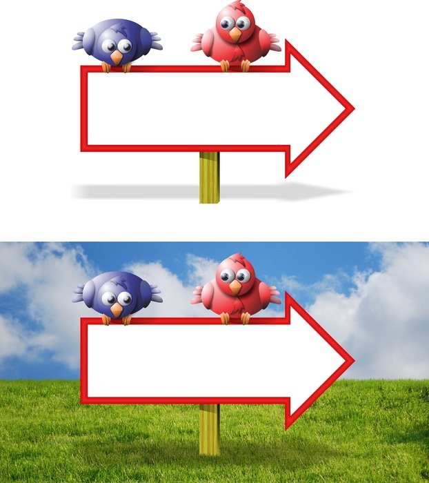 Birds on sign drawing free image download