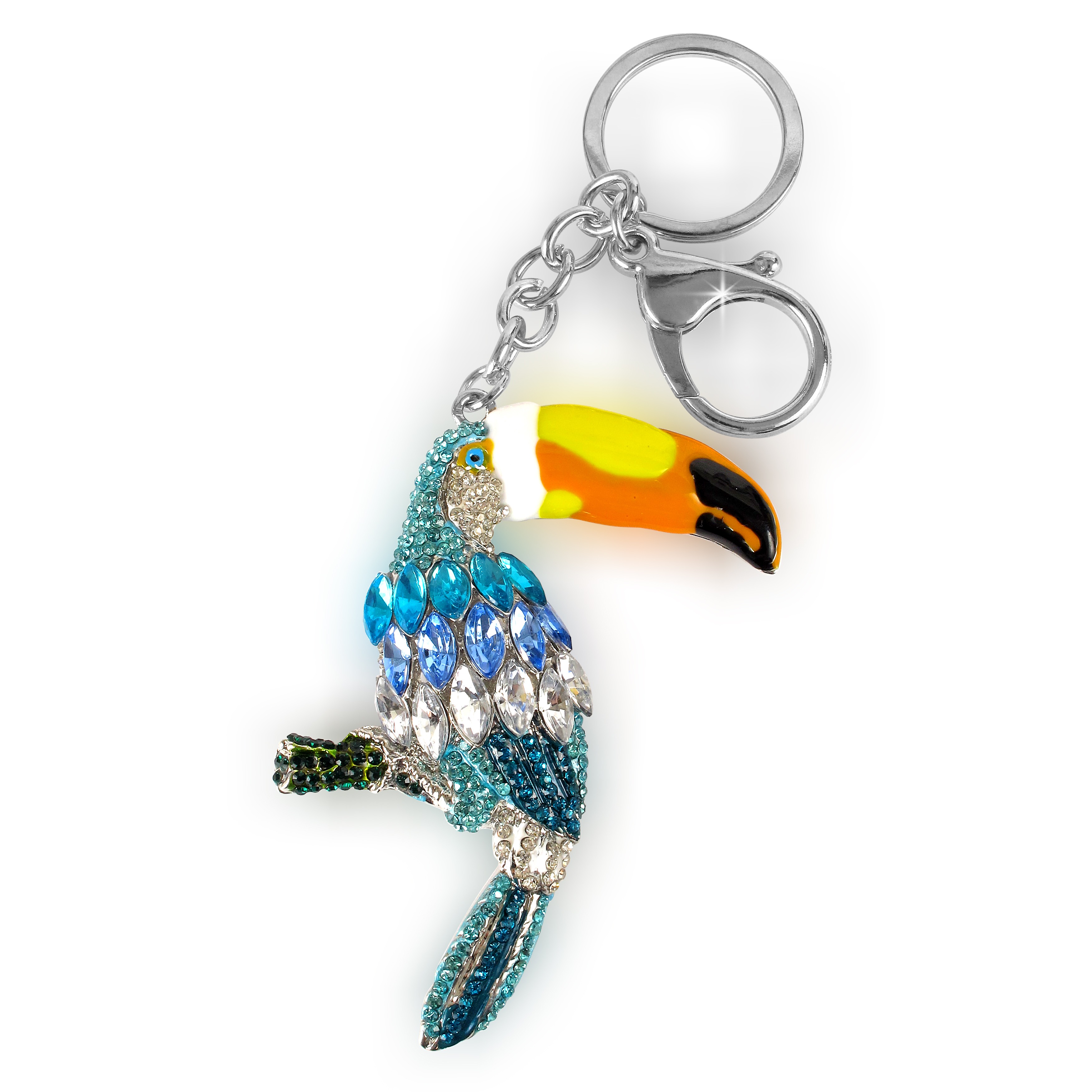 Toucan with the key ring free image download