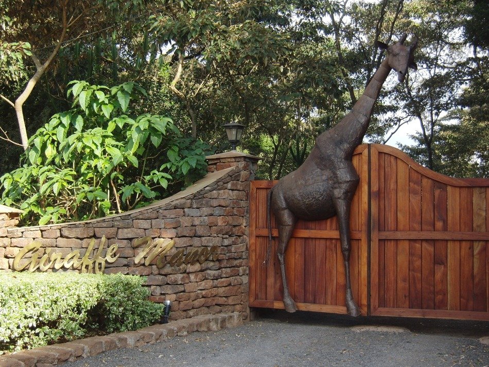 Bronze giraffe figure at the gates of the reserve in Africa free image ...